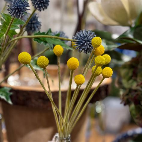 Mini Billy Balls 19 Inch Yellow Mills Floral Company