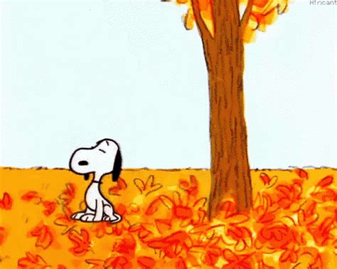 Cartoon S Autumn Aesthetic Aesthetic  Falling  Fall Anime My