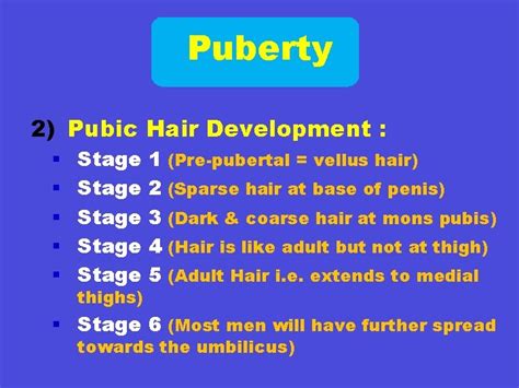 Puberty Puberty Disorders Puberty Puberty The Time At