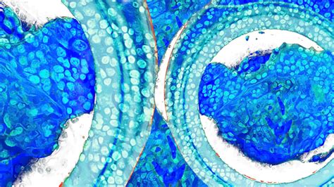 Meet The 2023 Ucsf Library Artist In Residence Ucsf Library