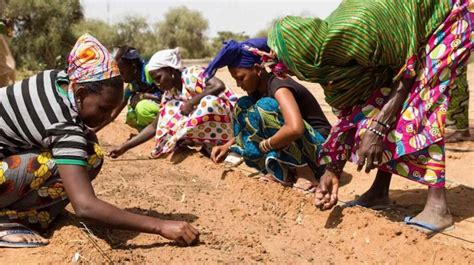 14 Billion Raised For Great Green Wall To Continue Planting Trees