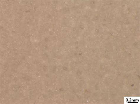 A Printout From The Eos Formiga P100 Printer Under A Microscope 10x