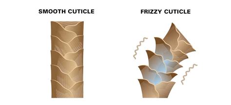 Straight Frizzy Hair How To Care For And Style Your Hair Color Wow Uk