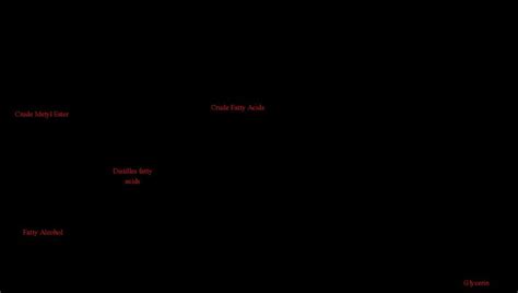 Diagram Of Oleochemical Process [13] Download Scientific Diagram