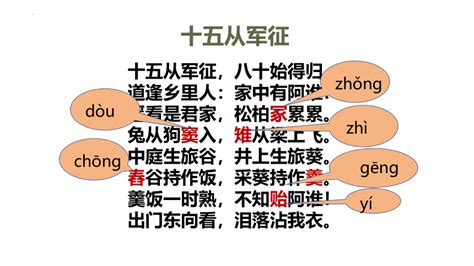 第24课《诗词曲五首——十五从军征》课件共20张ppt 2023—2024学年统编版语文九年级下册21世纪教育网 二一教育