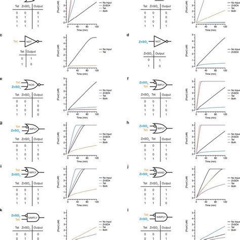 Ode Modeling Of Logic Gates Simulations Of Logic Gates Discussed In Download Scientific Diagram