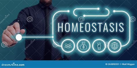 Conceptual Display Homeostasis Business Showcase The Tendency Toward A