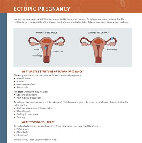 Ectopic Pregnancy Vs Normal Pregnancy