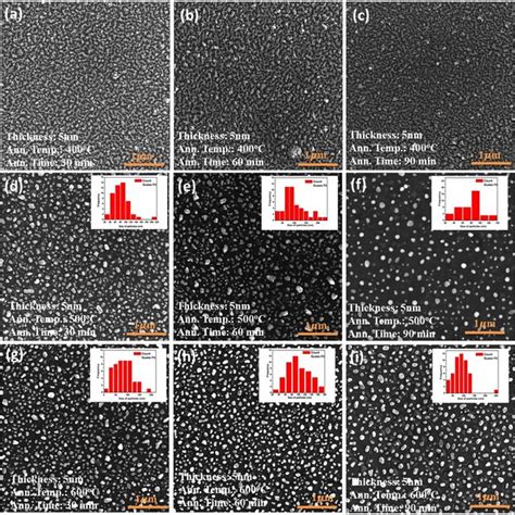 Fe Sem Micrographs Of 5 Nm Thick Au Film Annealed For Different Time Download Scientific