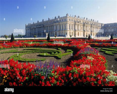 Versailles Flowers