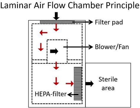 Laminar Flow Cabinet Diagram Cabinets Matttroy
