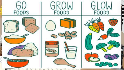 Basic Food Groups Pdf