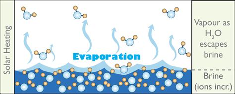 Evaporation Process Explained At William Christy Blog