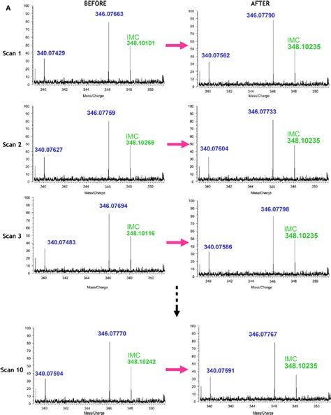 What Is Mz In Mass Spec At Debra Cunningham Blog