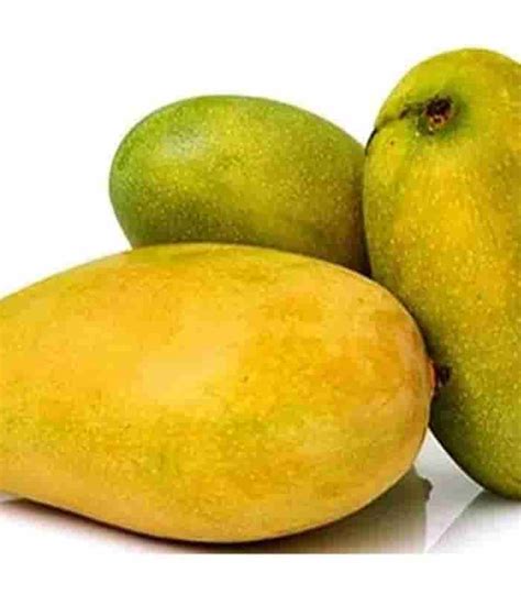 Imam Pasand Himayat Mango