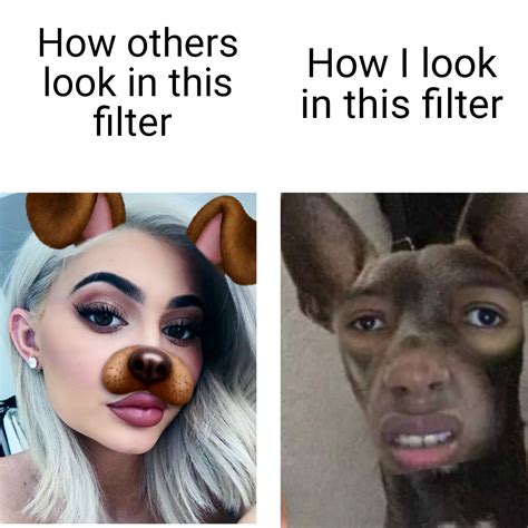 Dog Filter Be Like Scrolller