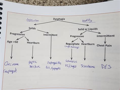 Gi Flashcards Quizlet