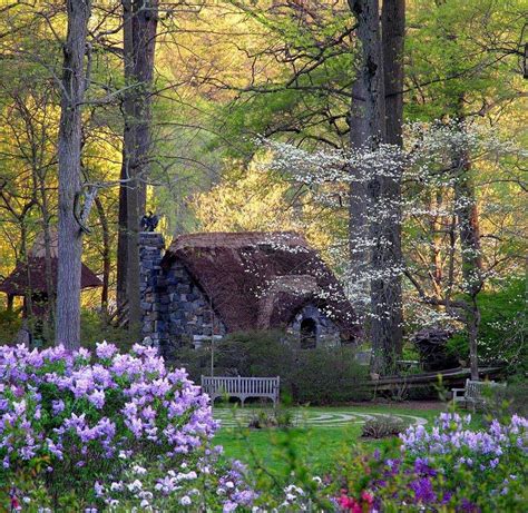Itsonlynatural By Kathy Cottage In The Woods Little Cottage