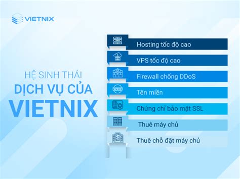 Vietnix năm thành công ưu đãi hấp dẫn