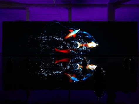 Archive Canal Projects