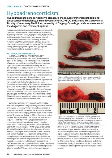 Pdf Hypoadrenocorticism