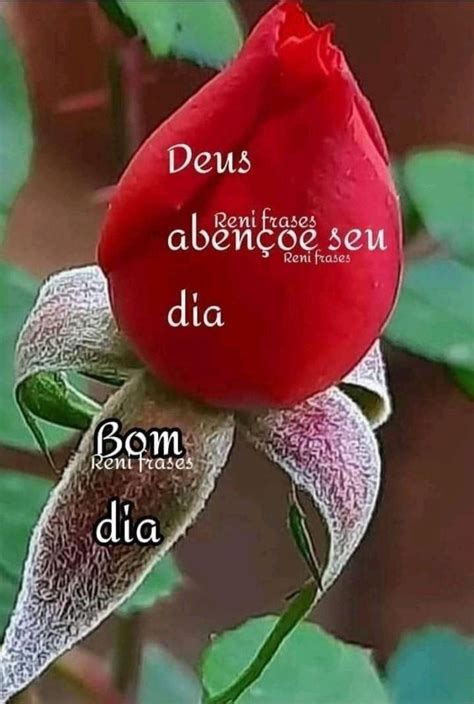 Pin De Jose Maria Marinho Marinho Em Pins Criados Por Você Mensagens