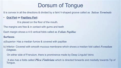 Tongue Anatomy And Physiology Pptx