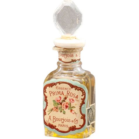 Prima Rosa Von Bourjois Meinungen And Duftbeschreibung