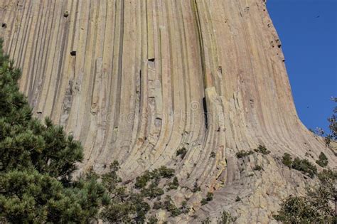 Close Up Photo Of The Devils Tower Rock Formation And Texture Stock