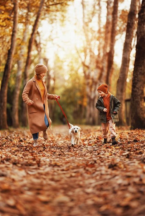 New Development Maple Woods Ballinacurra Midleton Co Cork Showhouse Open By Appointment