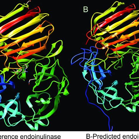 structure based sequence alignment of reference endo inulinase from