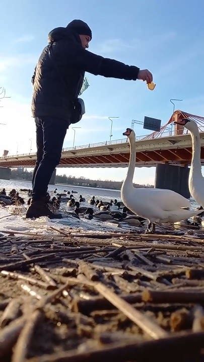Promenāde Youtube