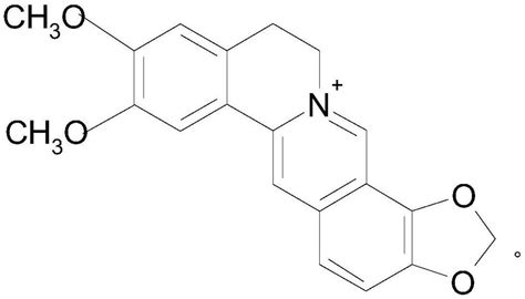 Application Of Epiberberine To Preparation Of Helicobacter Pylori