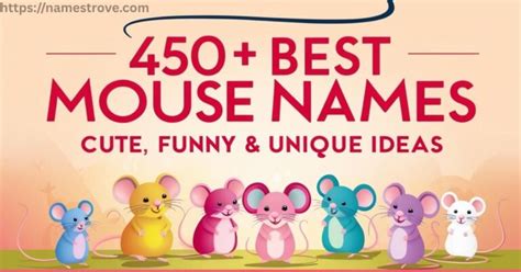 450 Best Mouse Names Cute Funny And Unique Ideas Names Trove