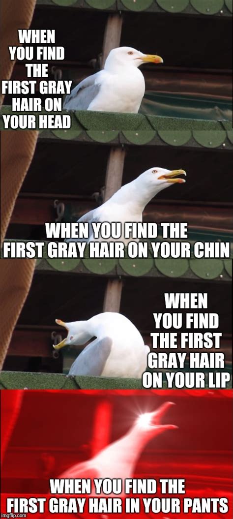 Long Gray Memes