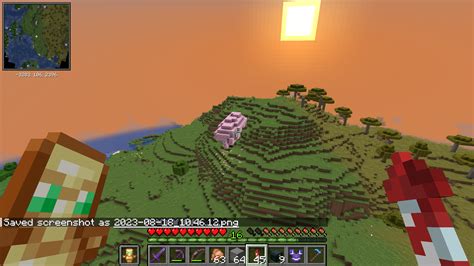 Worlds Smallest Cherry Biome Rminecraft