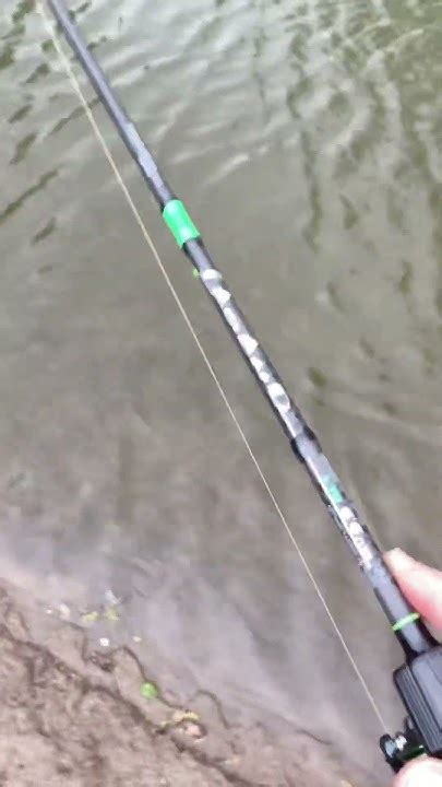 Рыбачу на вертушку от мепс 😀 #рекомендации #fishing #рыбалка #спиннинг ...