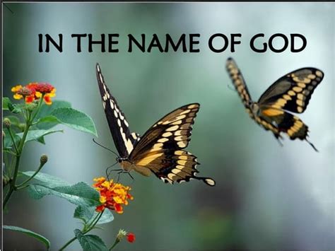 Dental Anatomy Of Primary Maxillary And Mandibular 2nd Molar Pdf