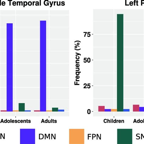 The Proportion Of Subjects That Present The Left Middle Temporal Gyrus