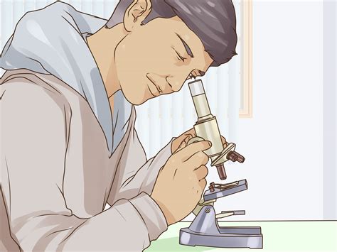 How To Grow Algae 10 Steps With Pictures Wikihow
