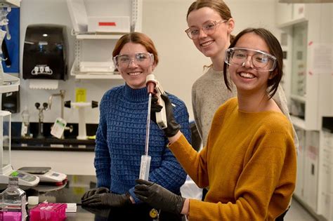 Undergraduate Program Biomedical Engineering