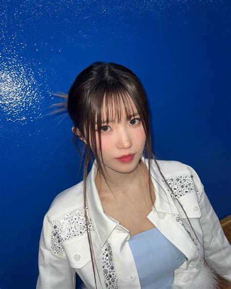 메이플 지금 이벤트함 치지직 에펨코리아