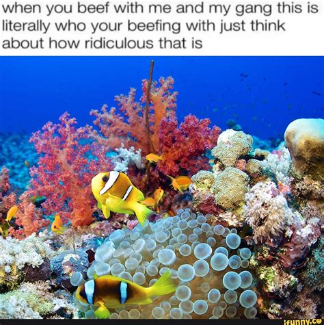 When You Beef With Me And My Gang This Is Literally Who Your Beefing