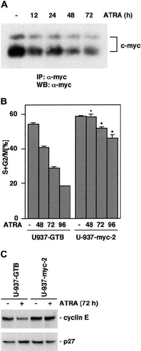 Exogenous Expression Of Myc Inhibits Atra Induced Cell Cycle Arrest And