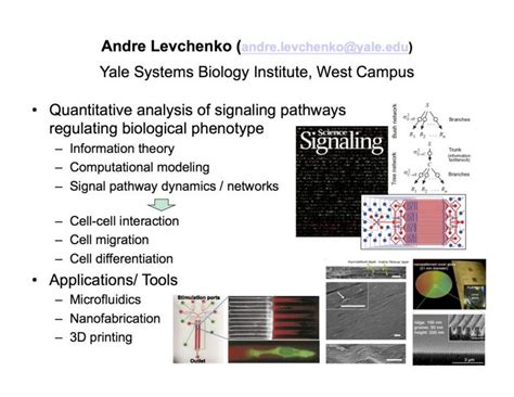 Welcome Levchenko Lab