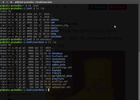 retropie kodi addon data location retropie forum
