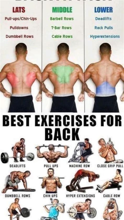 Best Exercises For Back Artofit
