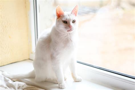 VšĮ Miesto Katė Added A New Photo VšĮ Miesto Katė