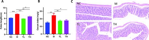 Tb Alleviated Antibiotic Induced Colitis In Mice A Cecum Index B Download Scientific