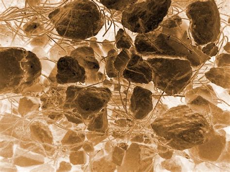 granular computing pursuing new frontiers of ai and data science